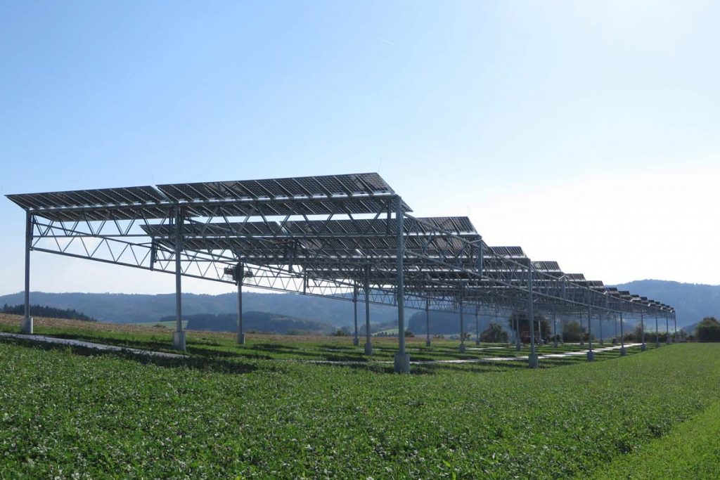 Building a Sustainable Future with Agrovoltaics - Wind Unites Us